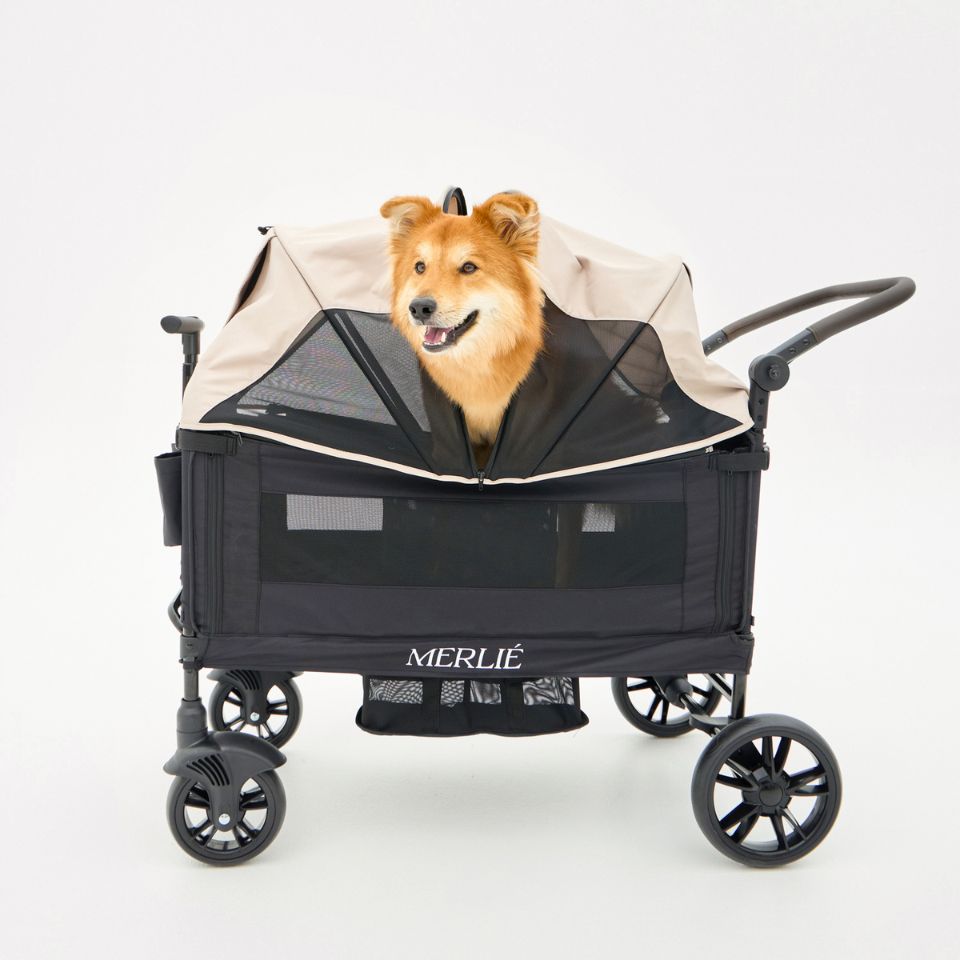 MERLIE 3WAY PET WAGON MW6 – Guppies