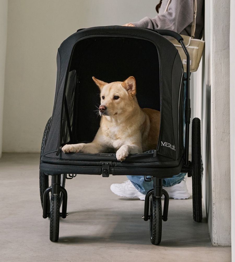 MERLIE ペットワゴン MW8 – Guppies